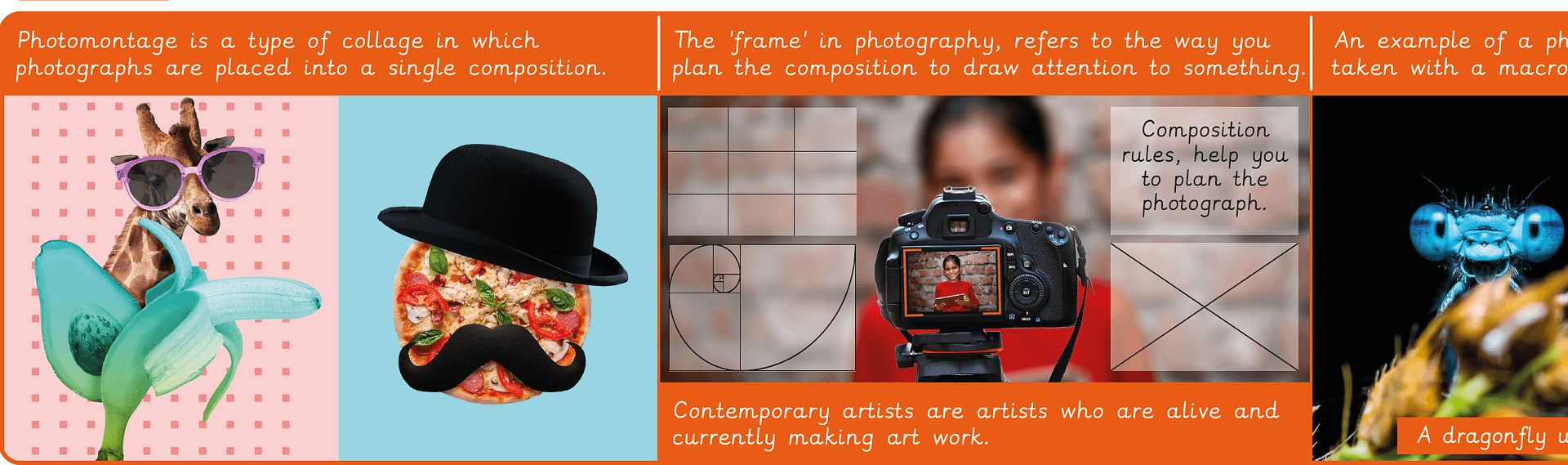 Knowledge organiser: Original Art and design scheme - Y6: Photography ...