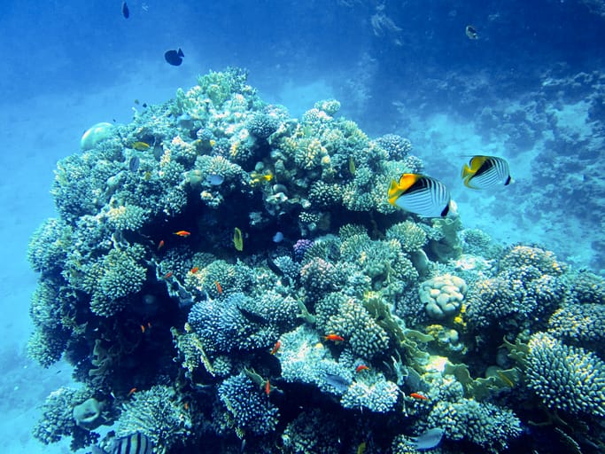 Upper KS2 Geography Lesson Plans | Why do Oceans Matter?