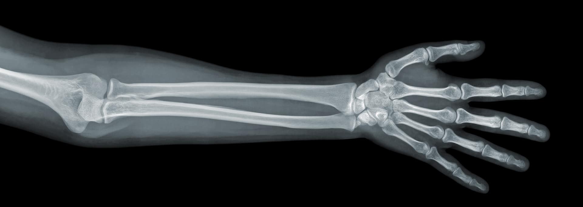 KS2 Science Lesson Plans | Bodies, Movement & Nutrition