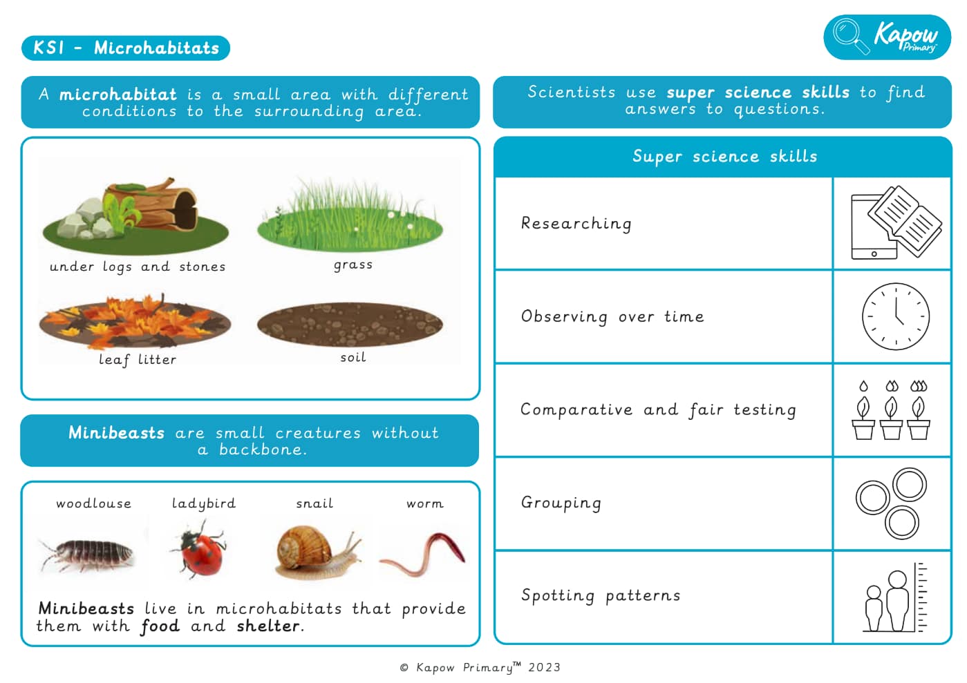 Knowledge organiser - Science Y2: Microhabitats