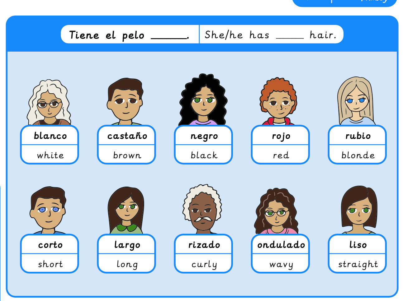 Knowledge organiser - Spanish Year 5: Spanish portraits