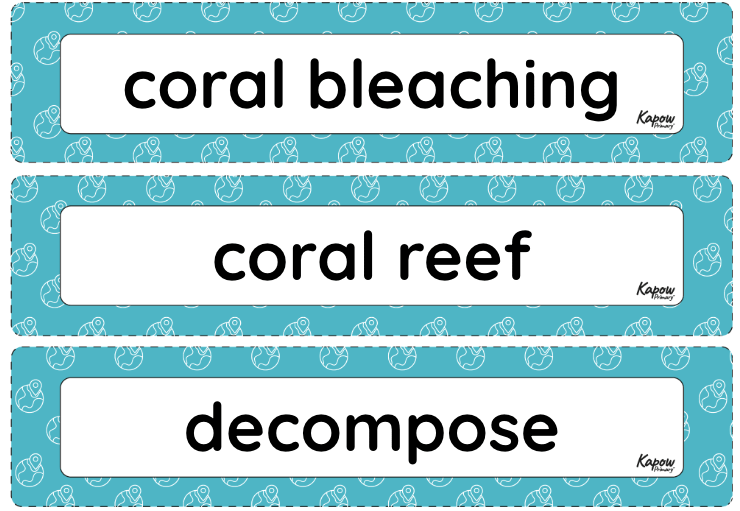 Vocabulary - Why Do Oceans Matter?