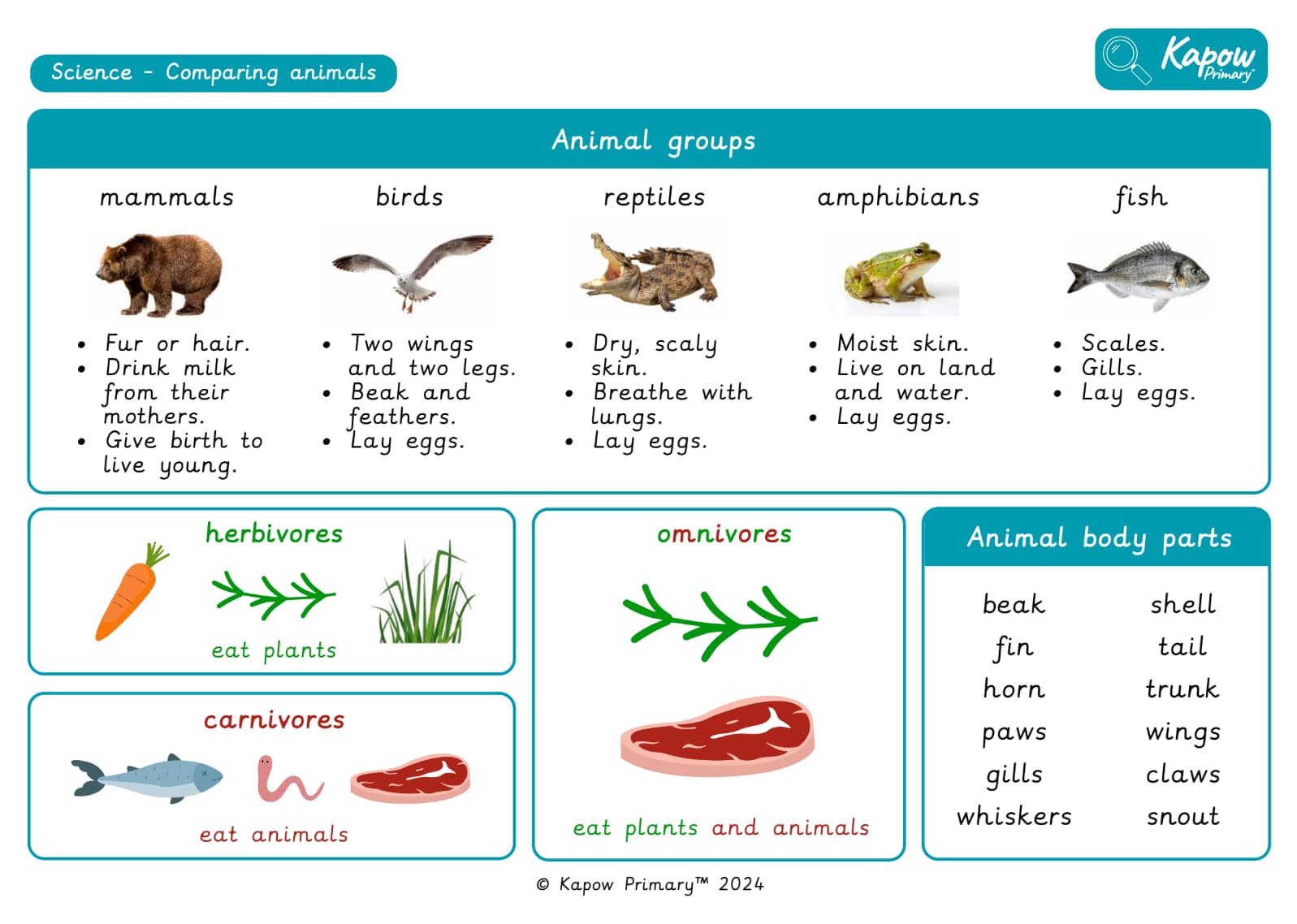Knowledge organiser - Science Y1: Animals, including humans: Comparing ...