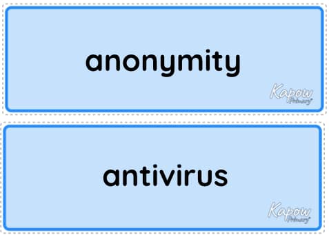 Vocabulary display - Computing Y6: Online safety: Year 6