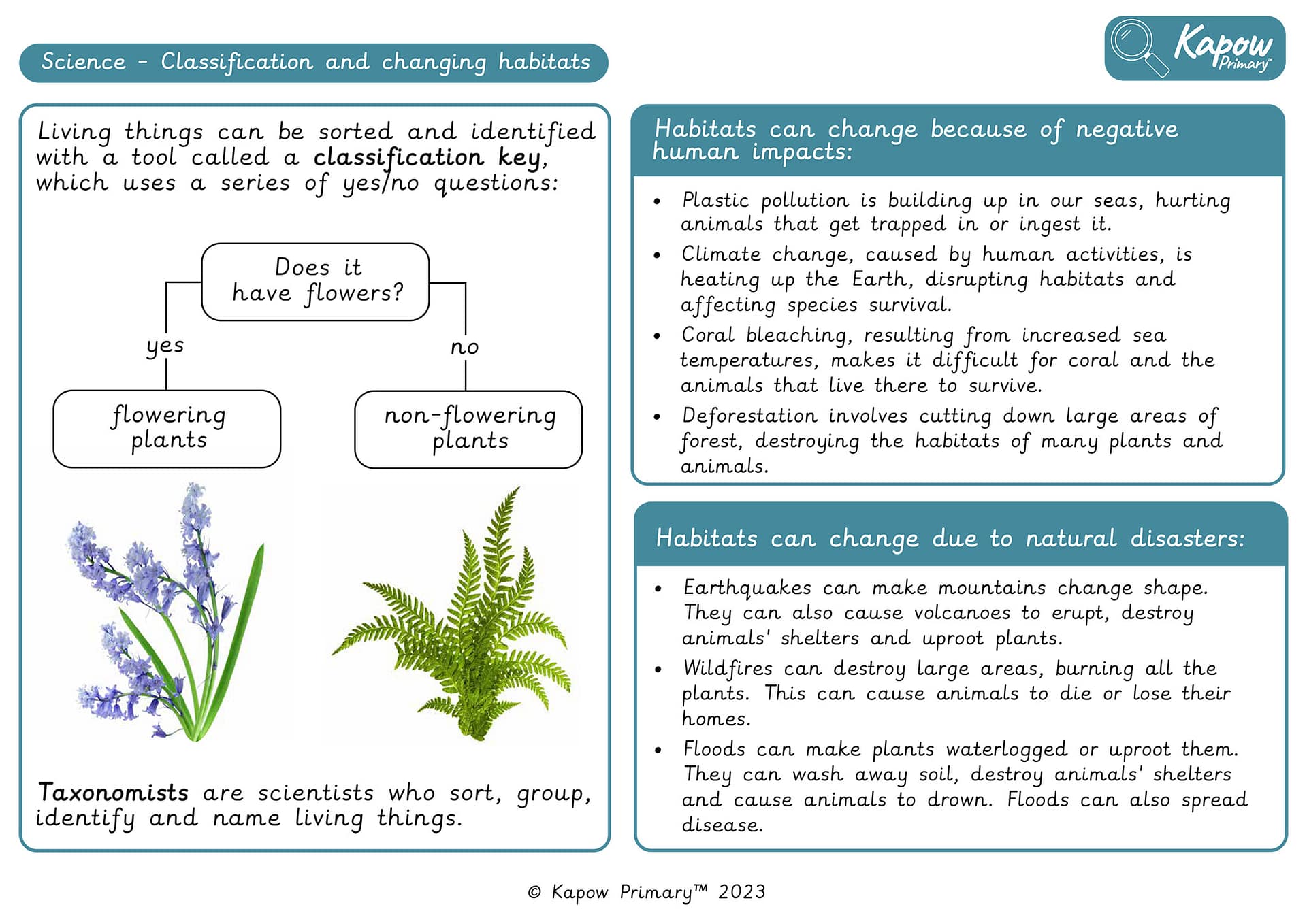 KS2 Science KO | Classification & Changing Habitats