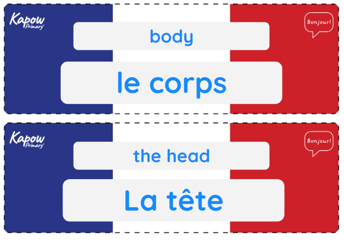 Vocabulary display: French monster pets