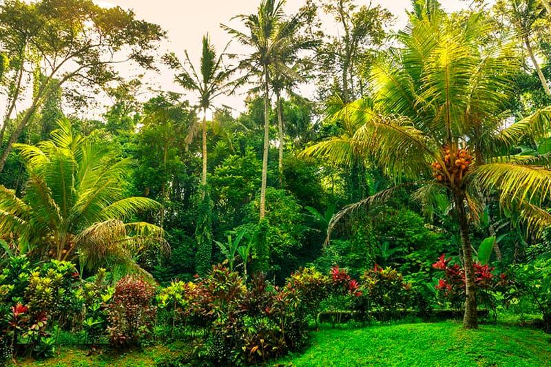 Reception Geography Lesson Plan: World Landscapes