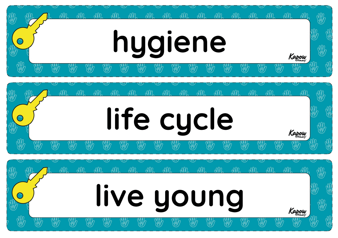 Vocabulary display - Science Y2: Animals including humans: Life cycles ...