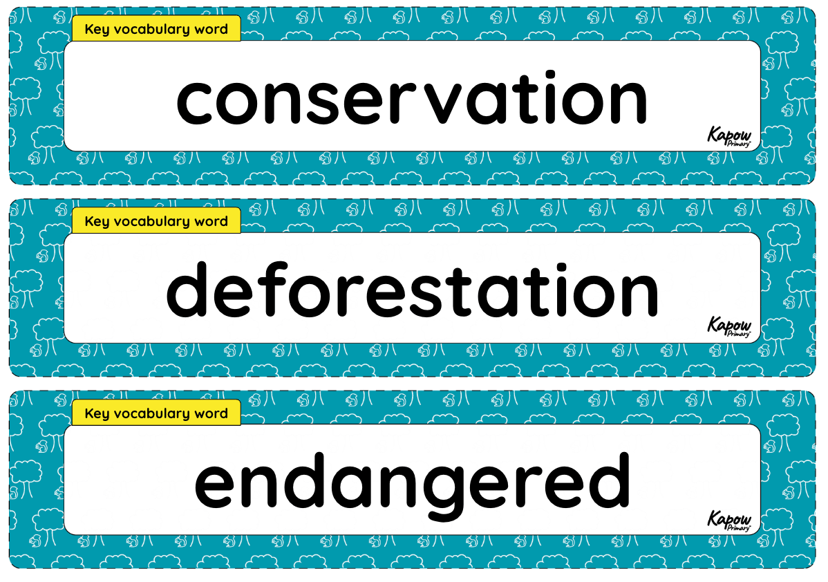 Vocabulary display - Science Y4: Living things: Classification and ...