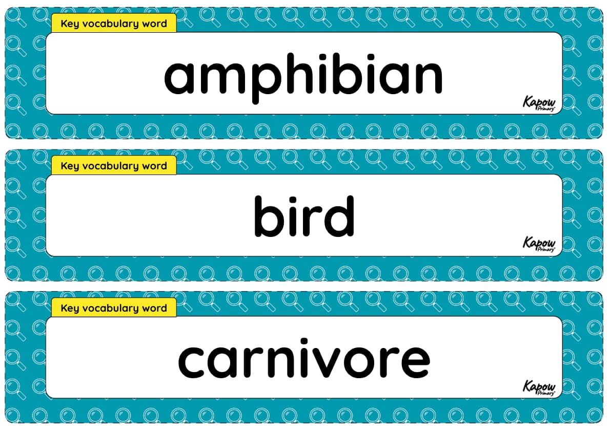Vocabulary display: Making connections: Investigating science through ...