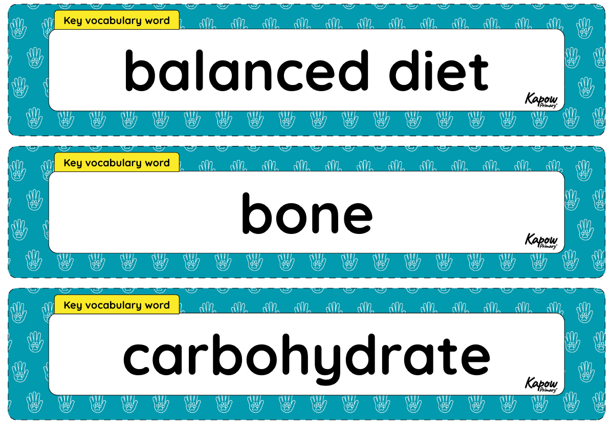 Vocabulary display - Science Y3: Animals, including humans: Movement ...