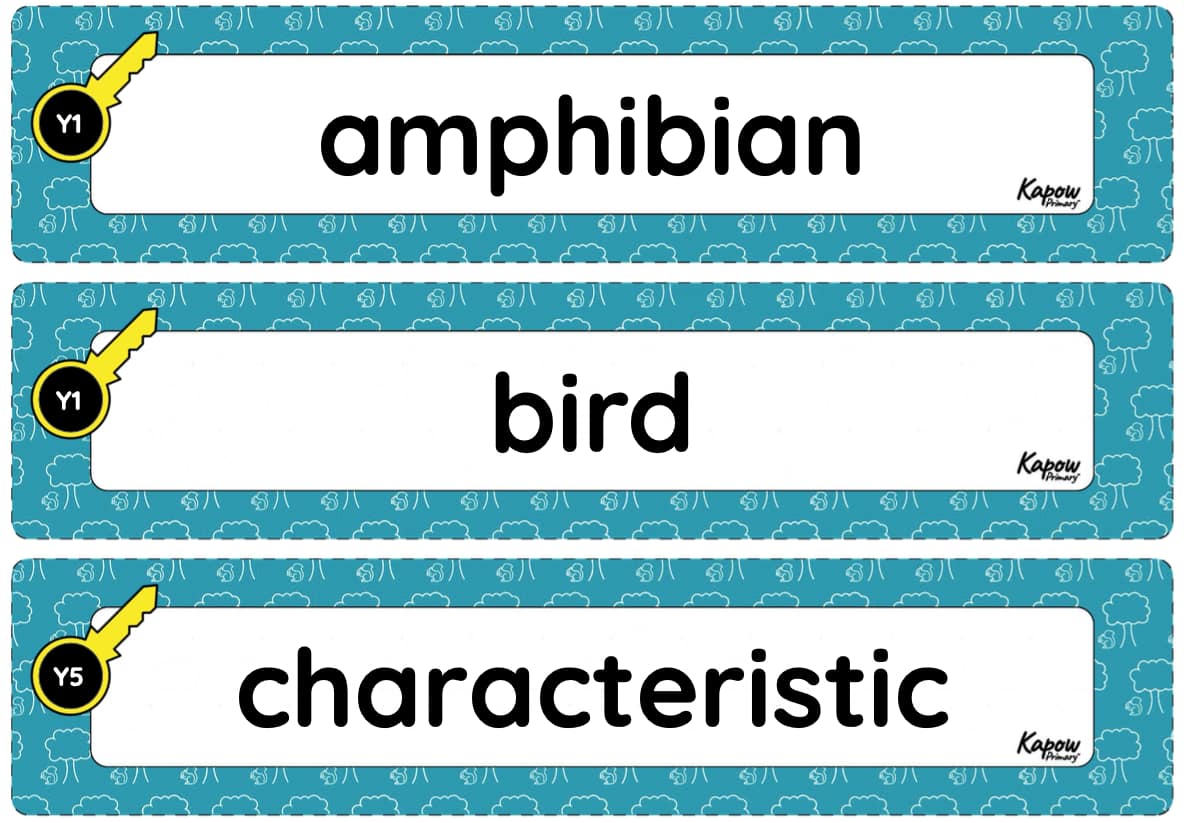 Vocabulary display: Classifying big and small