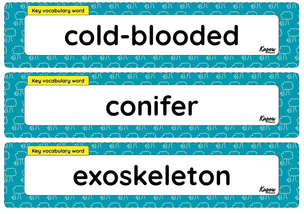 Vocabulary display - Science Y6: Living things: Classifying big and small