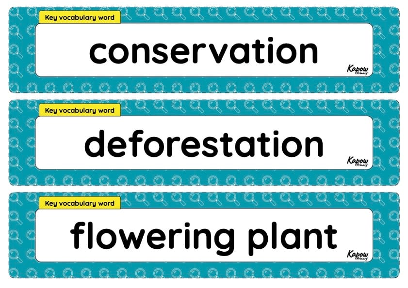 Vocabulary display - Science Y3/4 (B): Making connections: How does ...