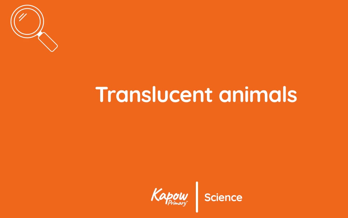 Pupil video: Translucent animals - Kapow Primary