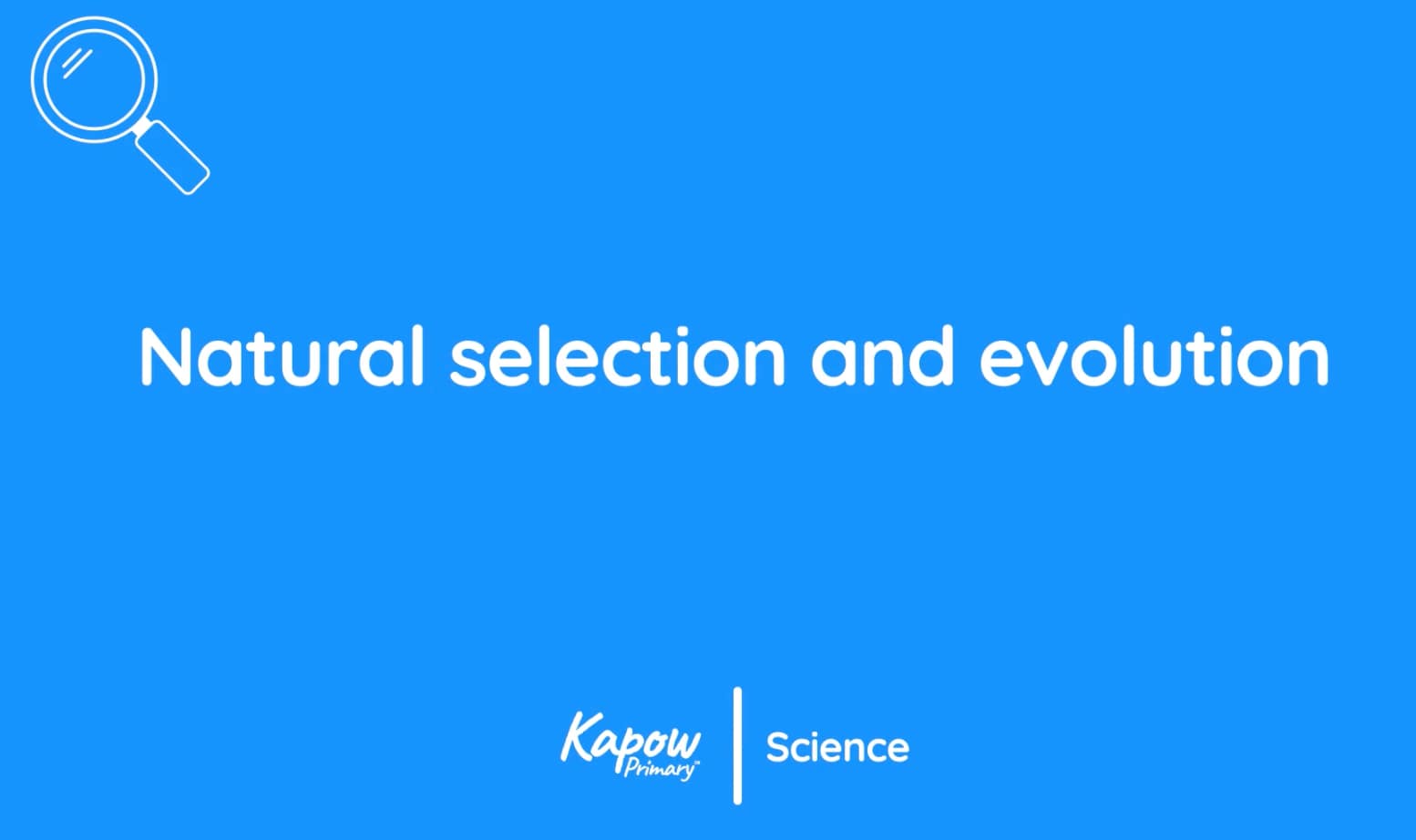 Teacher video: Natural selection and evolution - Kapow Primary