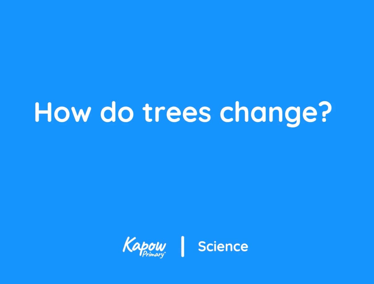Pupil video: How do trees change - Kapow Primary
