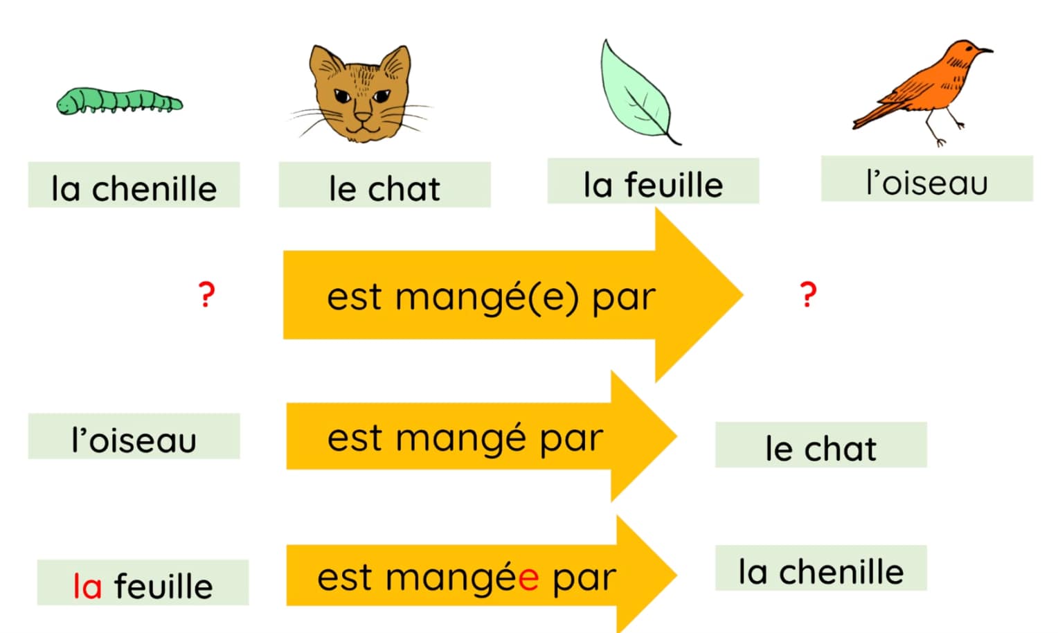 Teacher video: French food chains - Kapow Primary