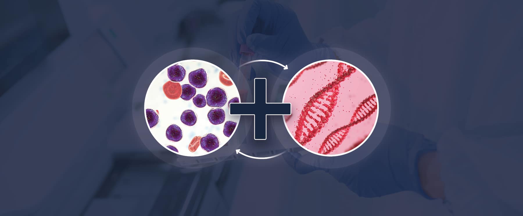 New publication! | ANGLE plc