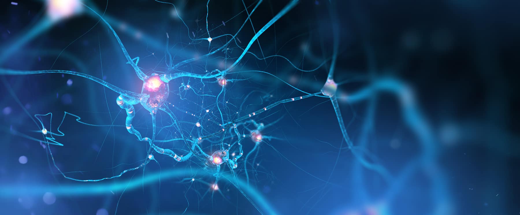 New publication! | ANGLE plc